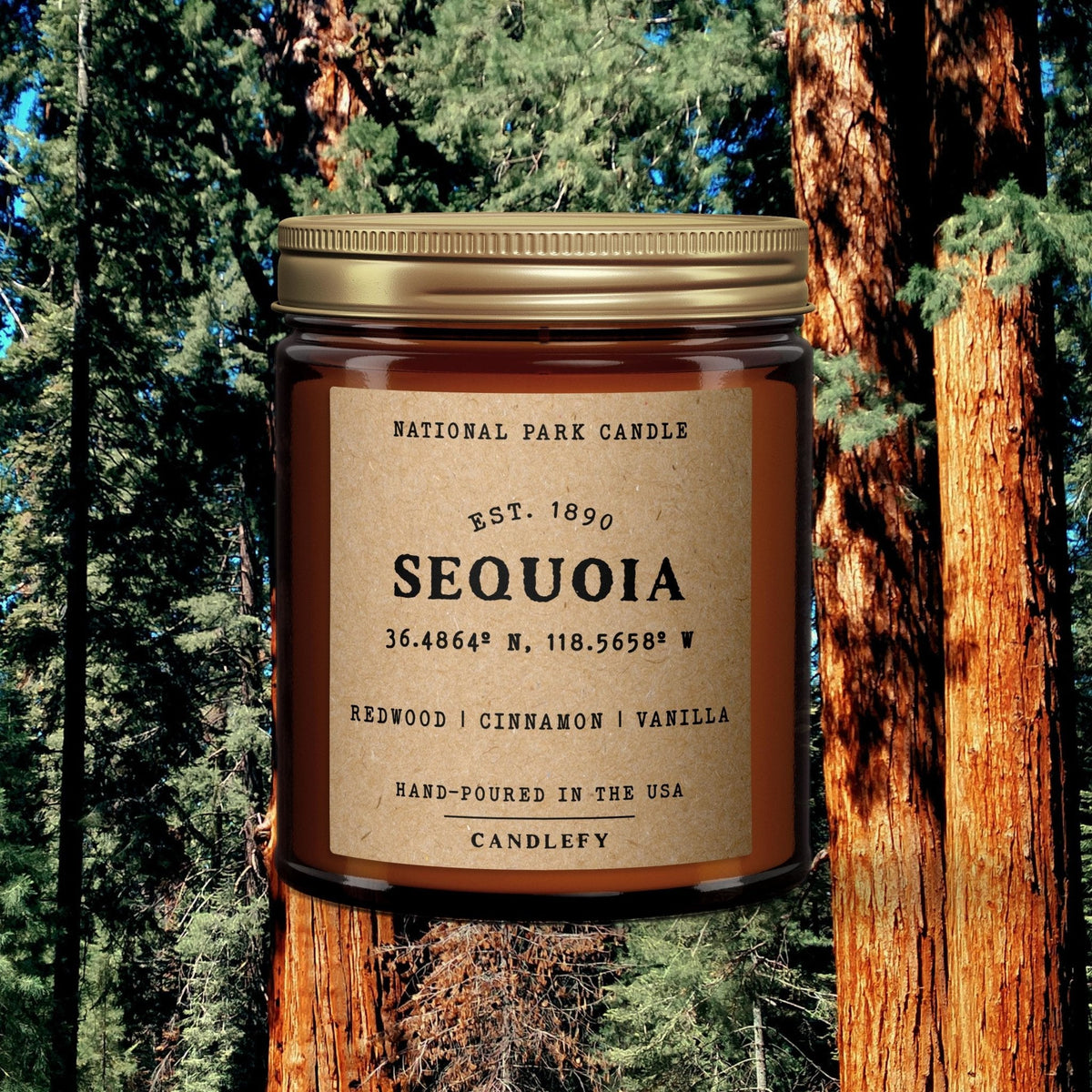 Sequoia National Park Candle – US Park Pass