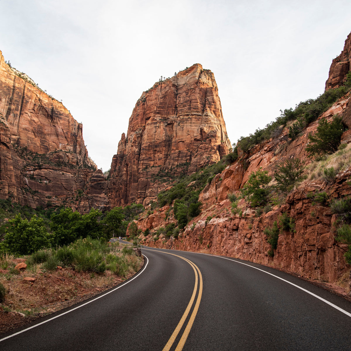 More Than a Drive: 5 Scenic Roads with Must-Do Stops Along the Way – US ...