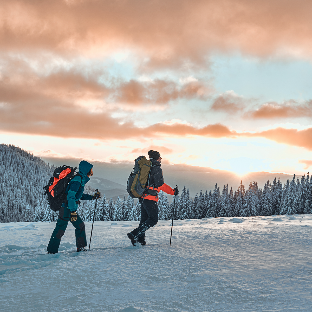 The Ultimate Checklist: 6 Essential Gear Items for a Winter Park Visit ...