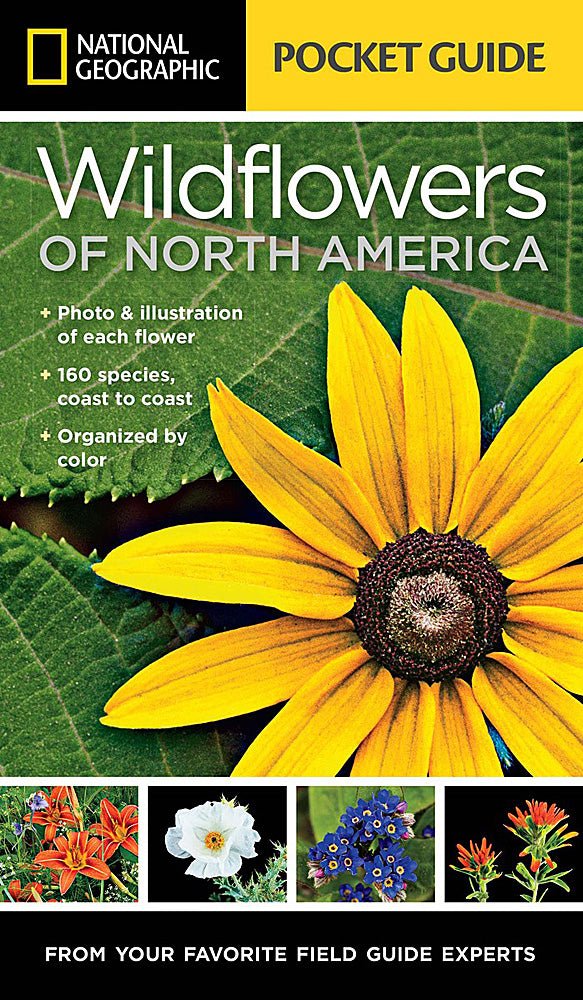 Pocket Guide to Wildflowers of North America – US Park Pass